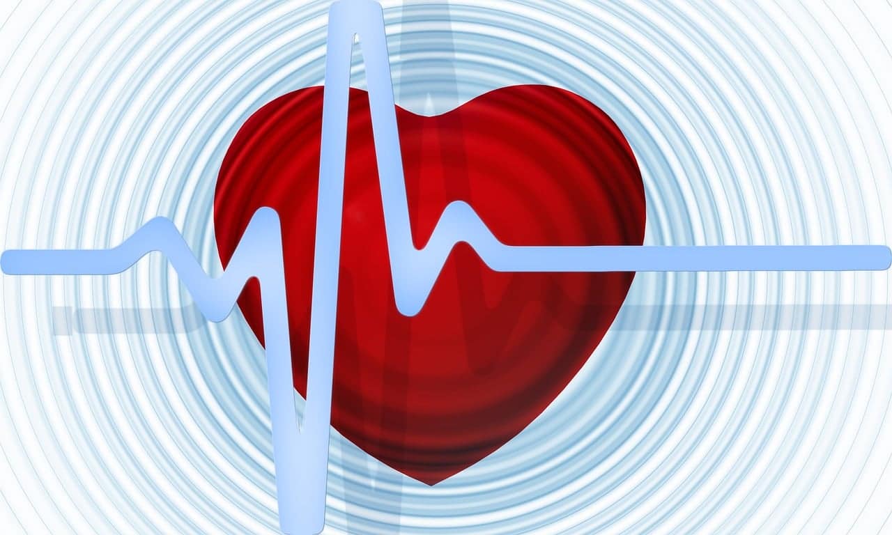 Women's Heart Health - Wendy Haaf Freelance Health Writer